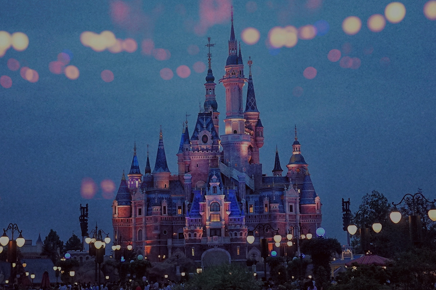 Disney - The Saavy Traveler